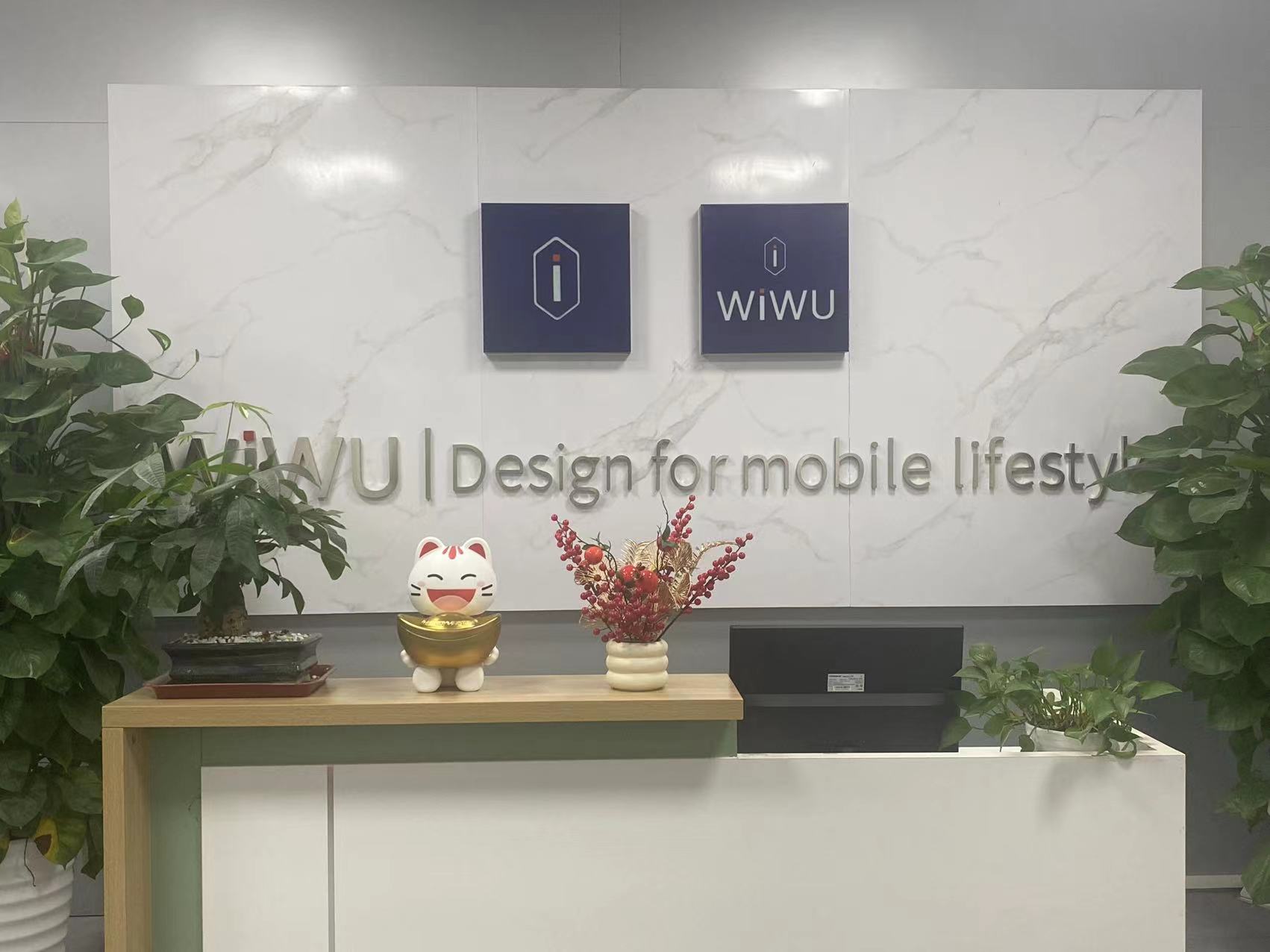 China Senior , Manufacturer – wiwu